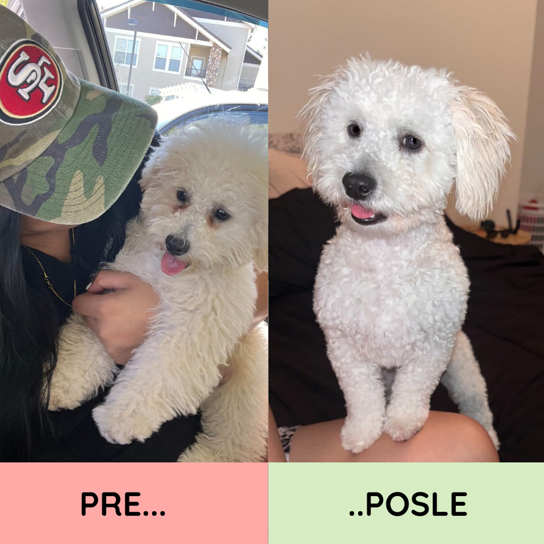 SVI PROIZVODI – Meda&Meggy